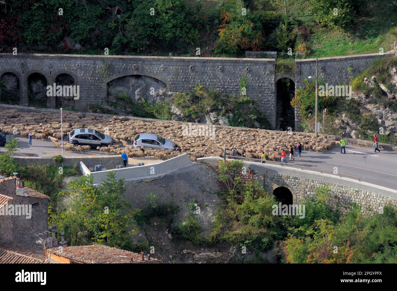 Transhumance, Entrevaux, Provence, France Stock Photo - Alamy