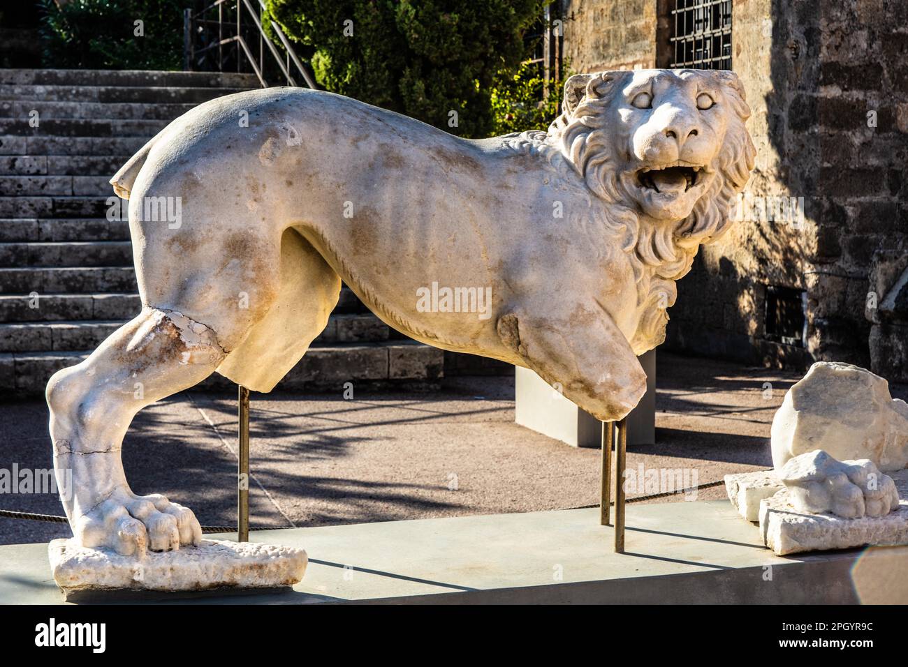 Lion sculpture on the upper floor, Archaeological Museum in the former ...