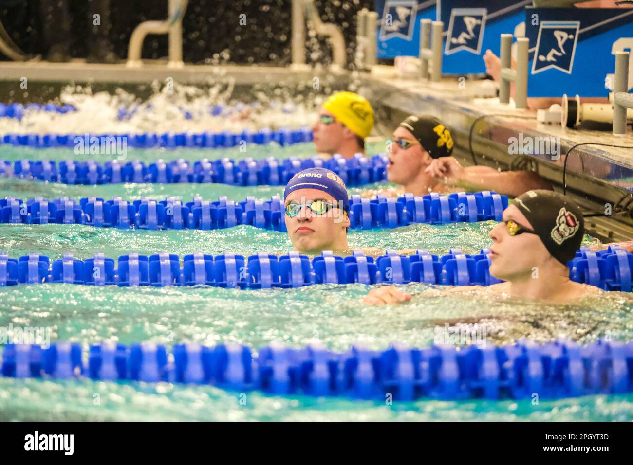 Ncaa mens swimming and diving championship hi-res stock photography and ...
