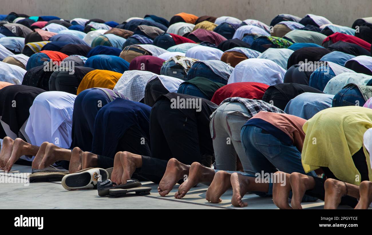 Zumma press hi-res stock photography and images - Alamy