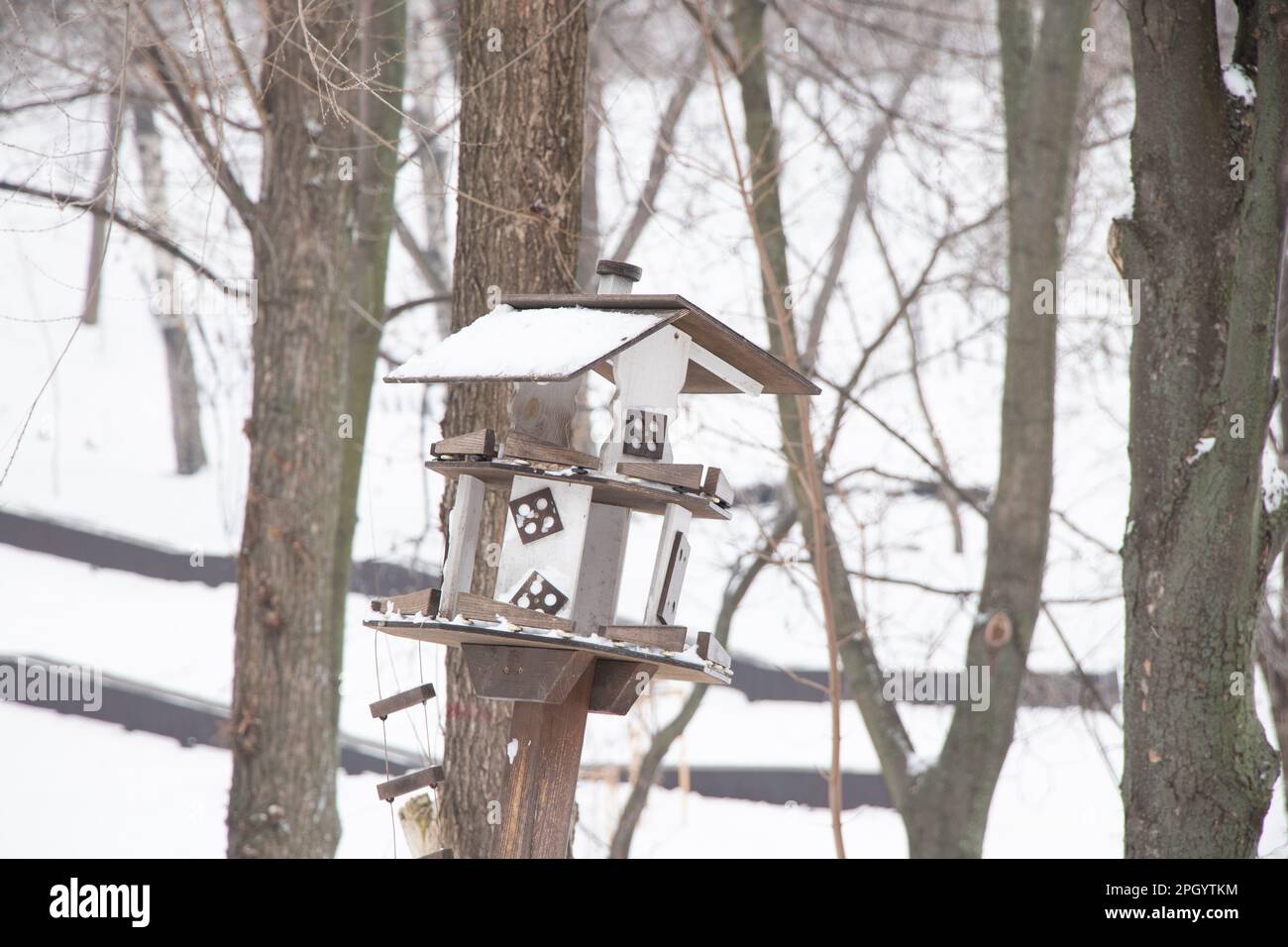 Birdhouse pine tree shelter hi-res stock photography and images - Alamy