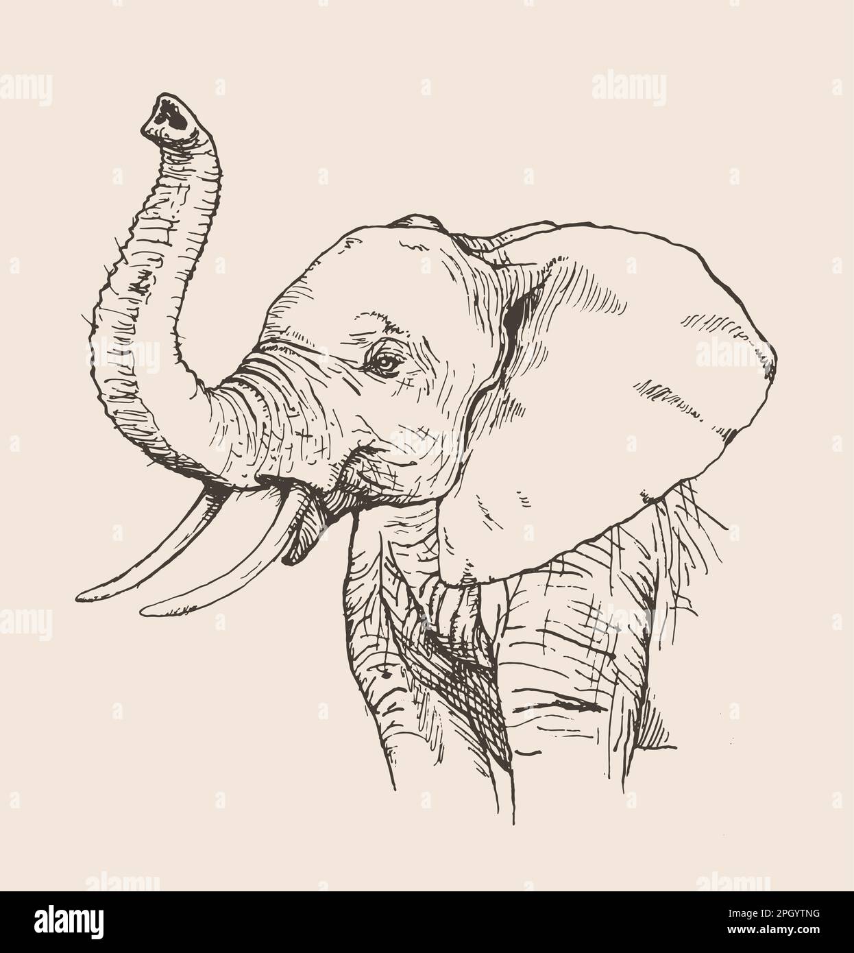 elephant. hand drawn, Vector illustration Stock Vector Image & Art - Alamy elephant. hand drawn, Vector illustration Stock Vector Image & Art - Alamy