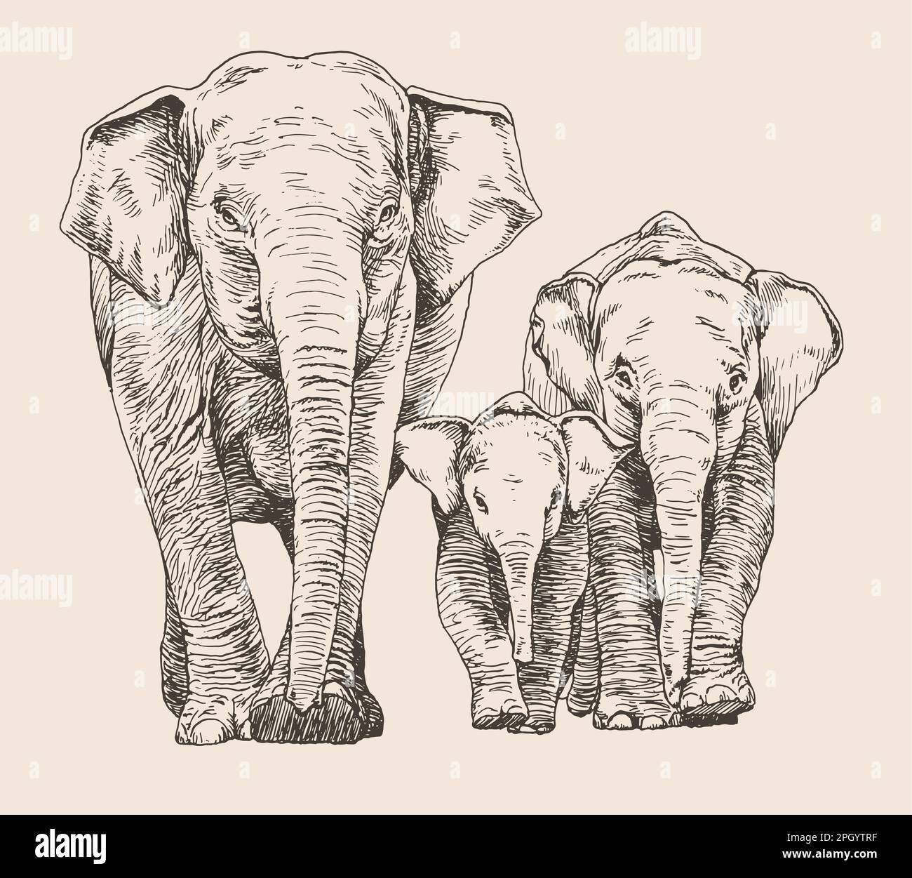 elephant family, hand drawn, vector illustration Stock Vector Image ...