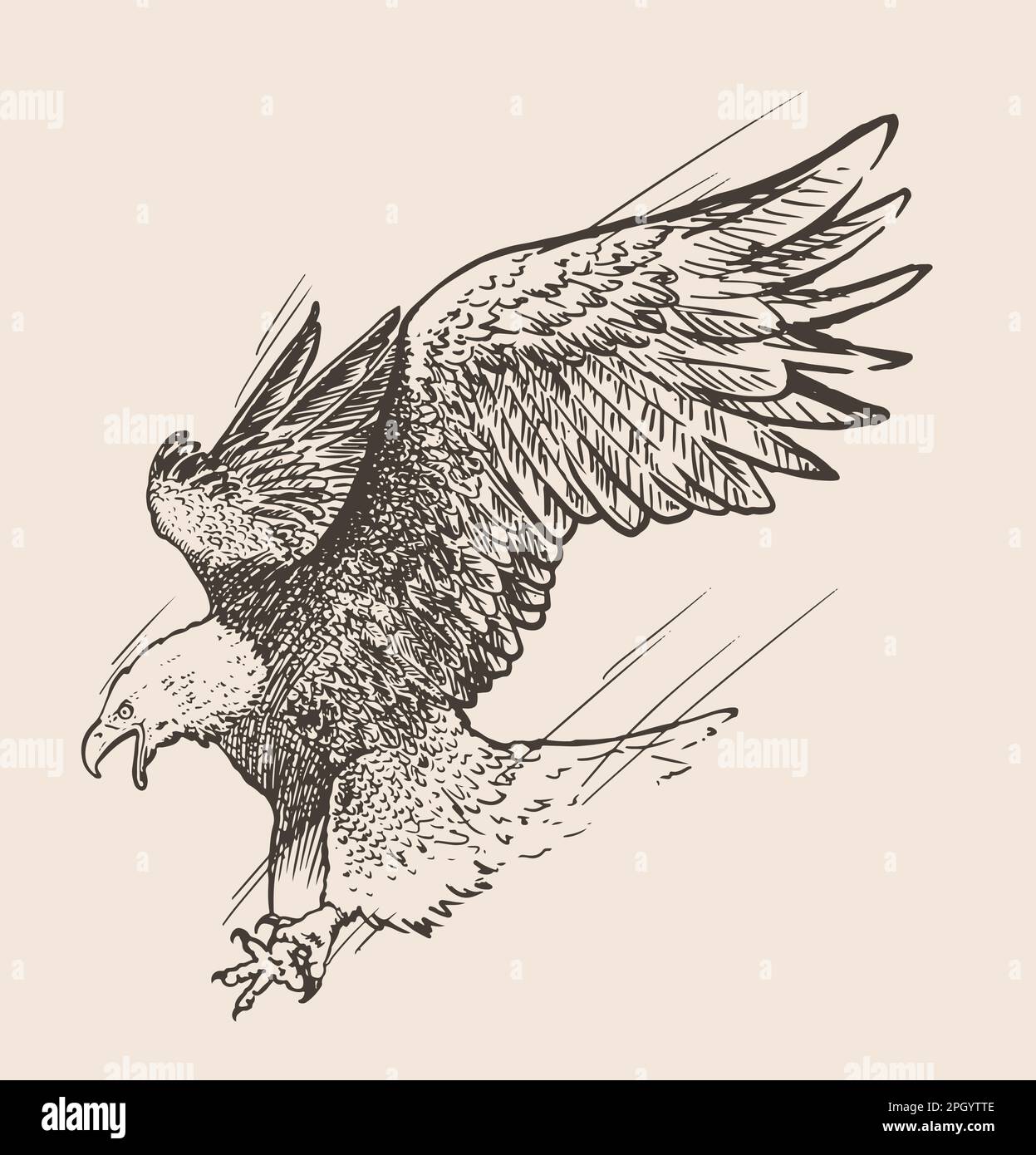 eagle catching, hand drawn, vector illustration Stock Vector Image ...