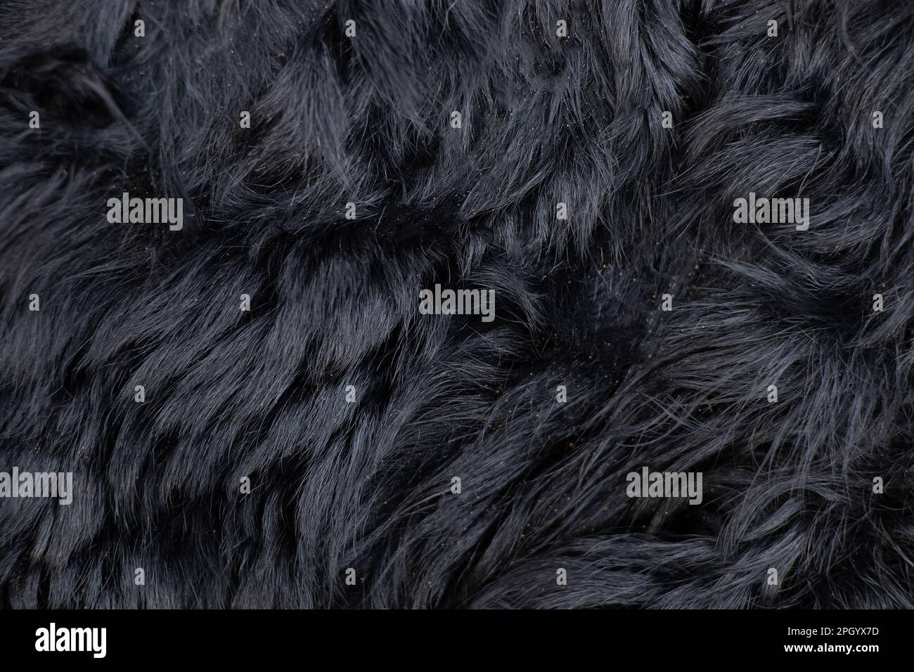 fur black fur coat as background close-up Stock Photo - Alamy fur black fur coat as background close-up Stock Photo - Alamy