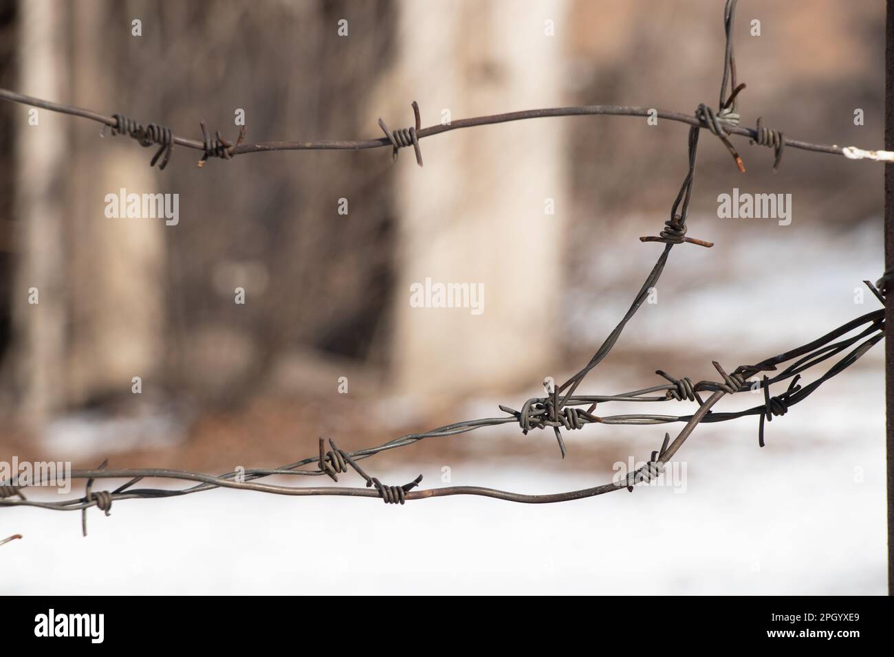 old rusty fence with barbed wire, closed area Stock Photo - Alamy