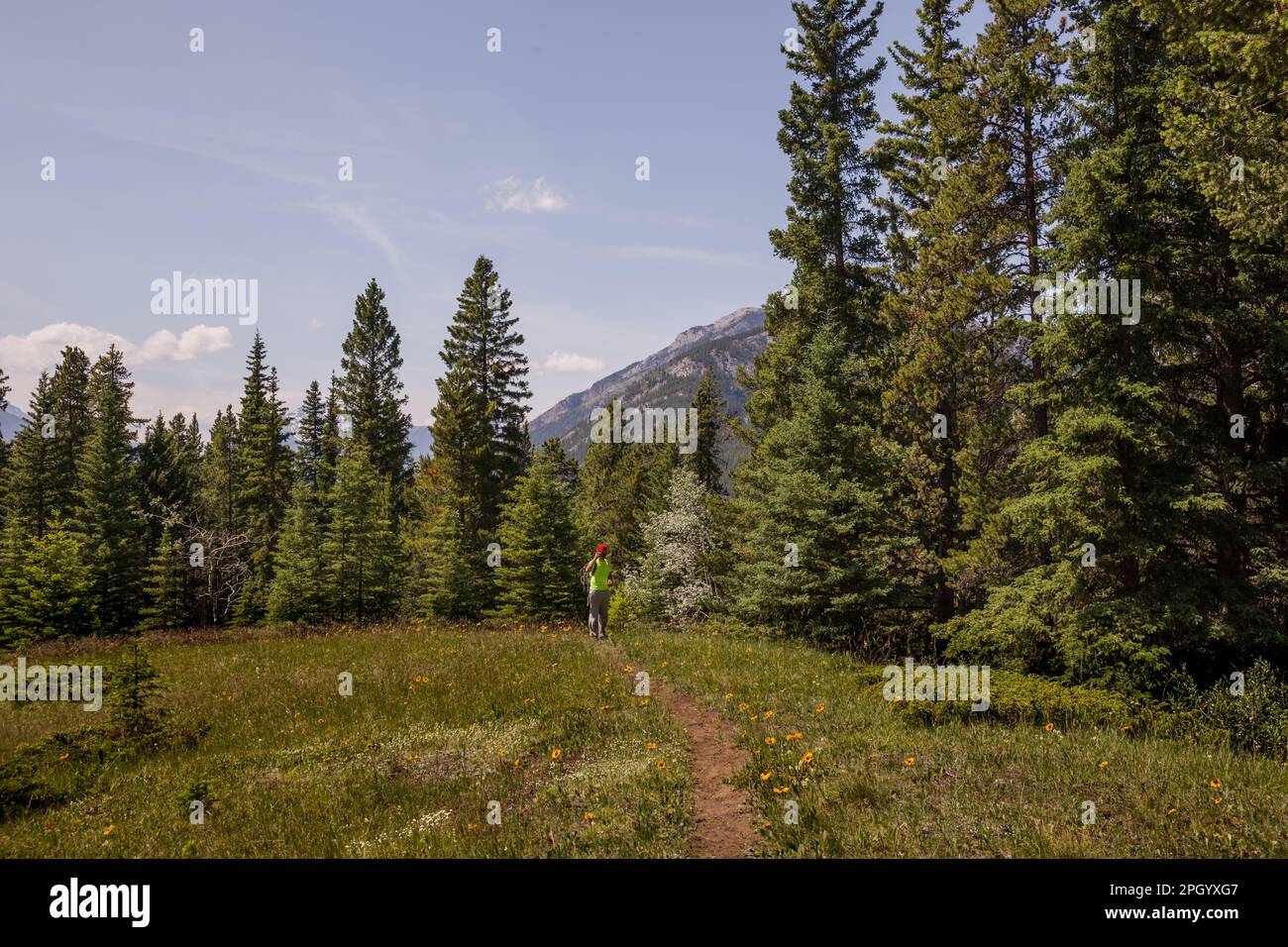 Mountain landscape. Wonderful landscape for hiking, climbing, rafting ...