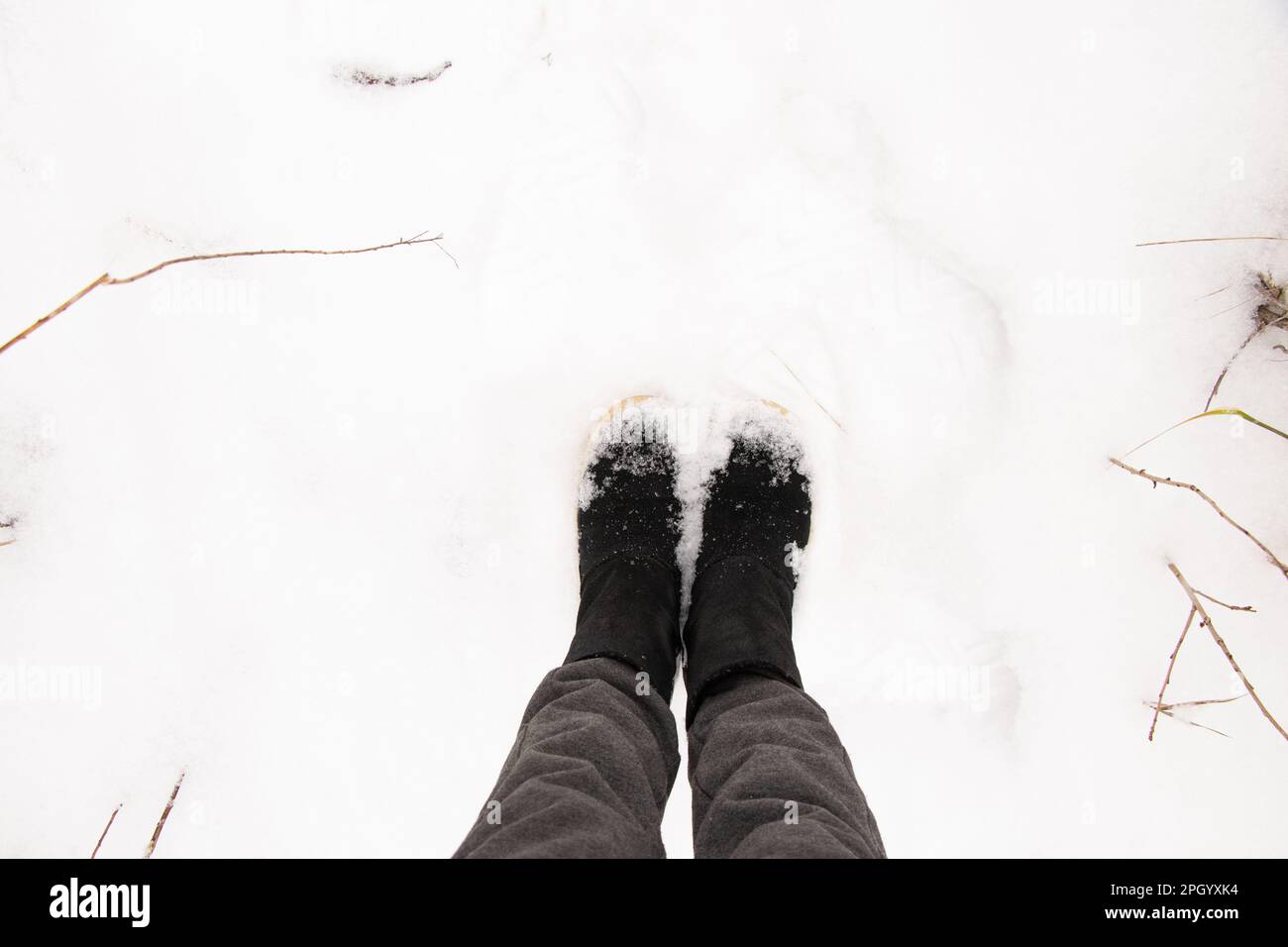 female legs in winter in the snow in gray pants and boots on a walk ...