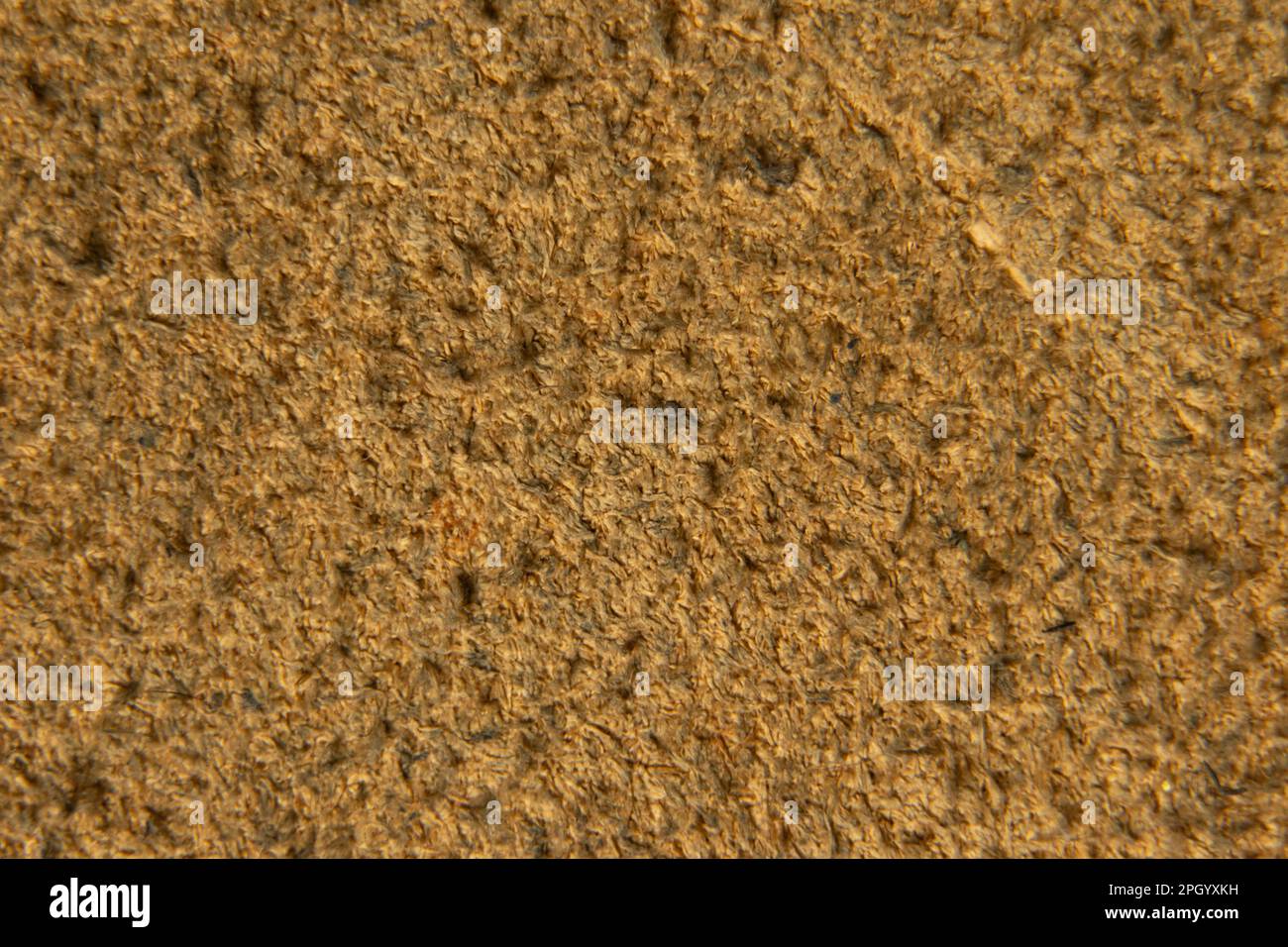 light beige natural suede leather as background close-up Stock Photo ...