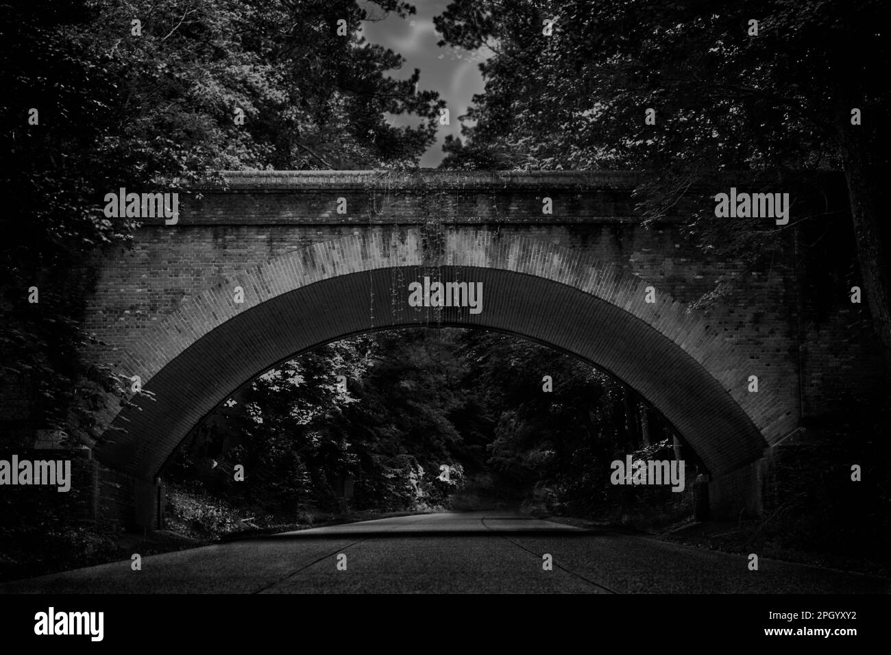 Bridge with trees Black and White Stock Photos & Images - Alamy