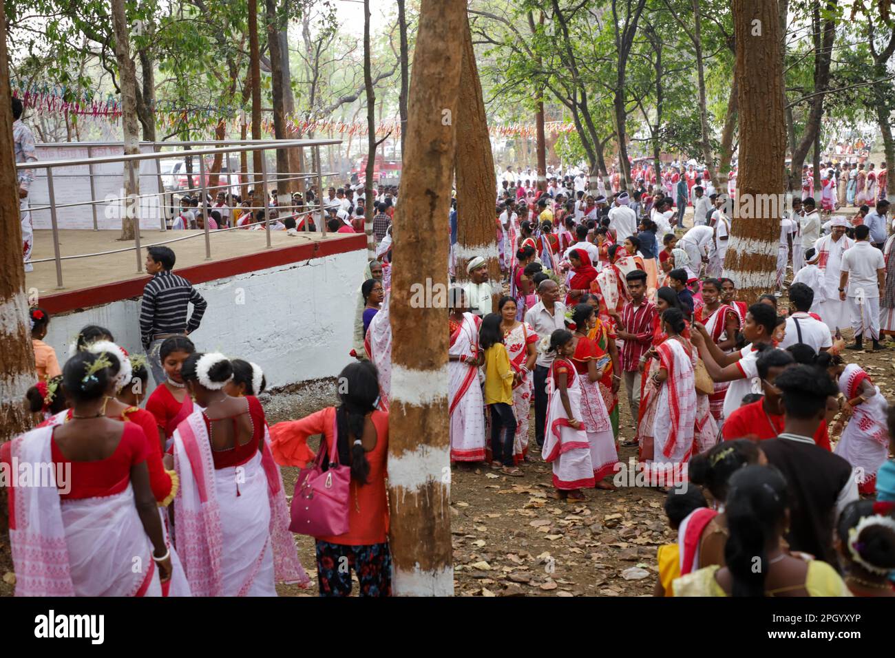 Potka, East Singhbhum, India. 24th Mar, 2023. The Sarhul festival ...
