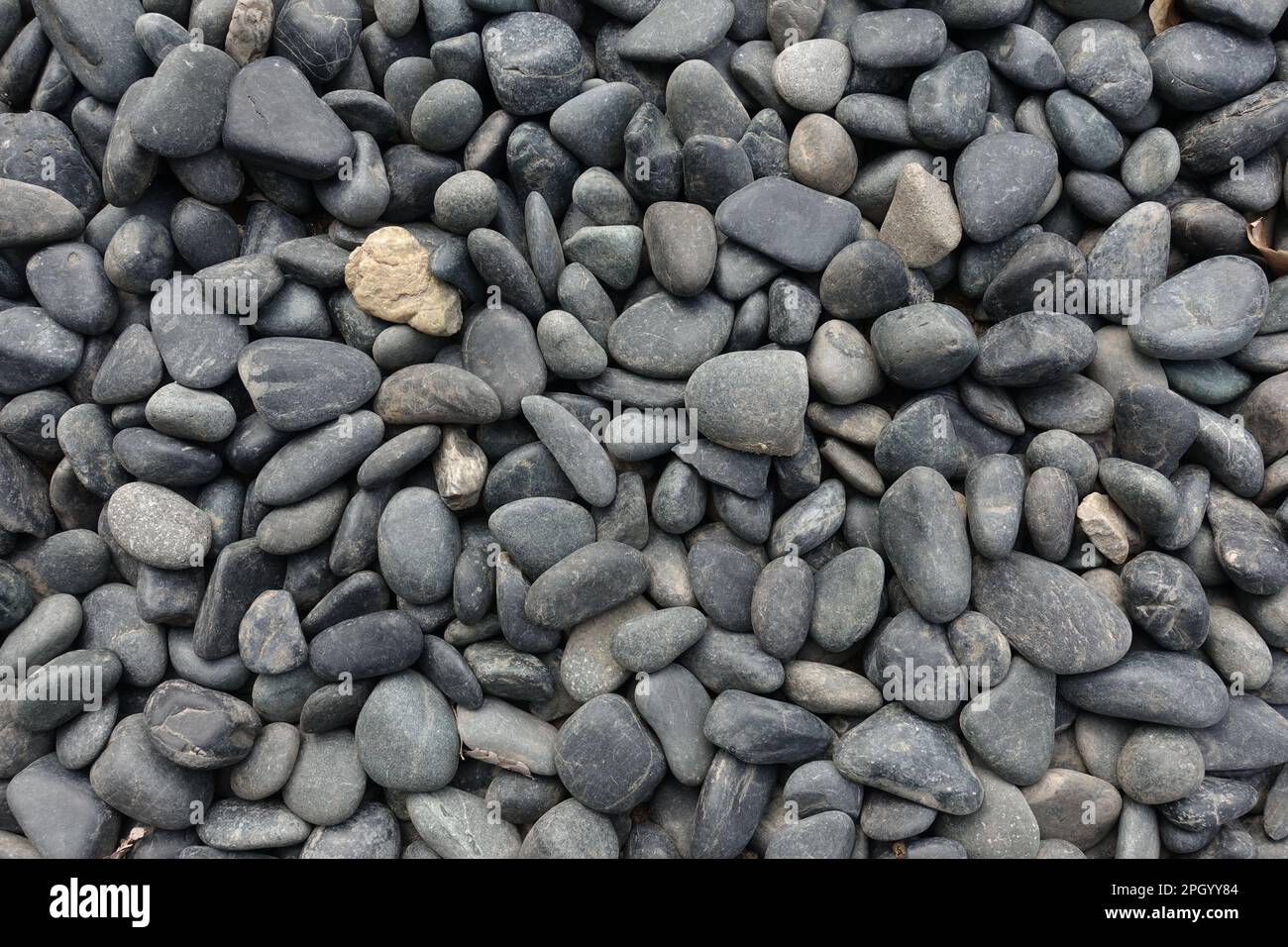 Rounded grey stones on the beach Stock Photo - Alamy