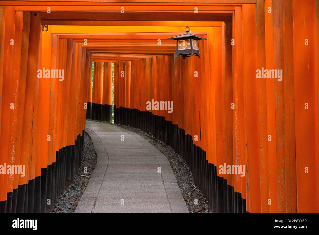 Tori gates in Japan Stock Photo - Alamy