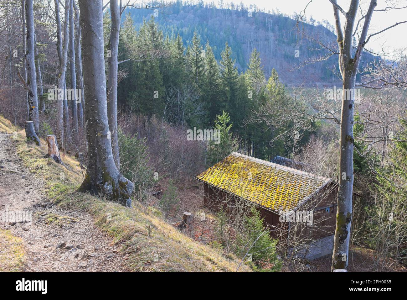 landscape in the swiss jura in the canton of basel land, on one of the ...
