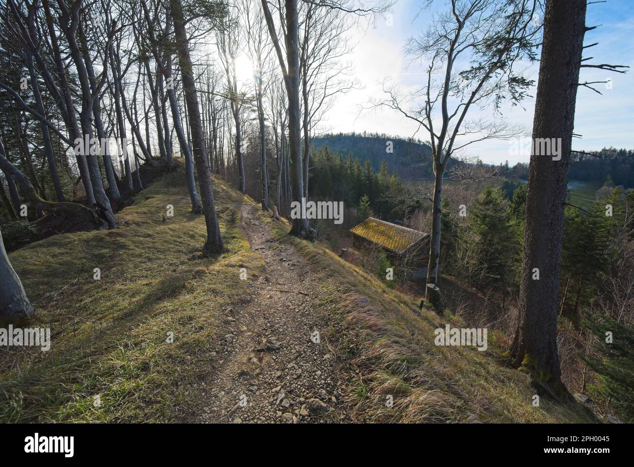 landscape in the swiss jura in the canton of basel land, on one of the ...