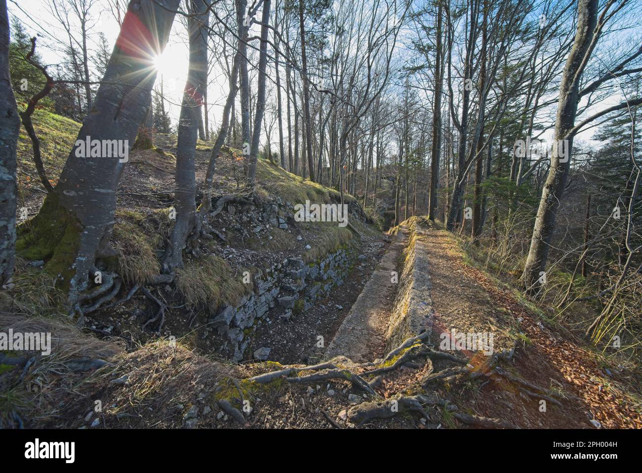 landscape in the swiss jura in the canton of basel land, on one of the ...