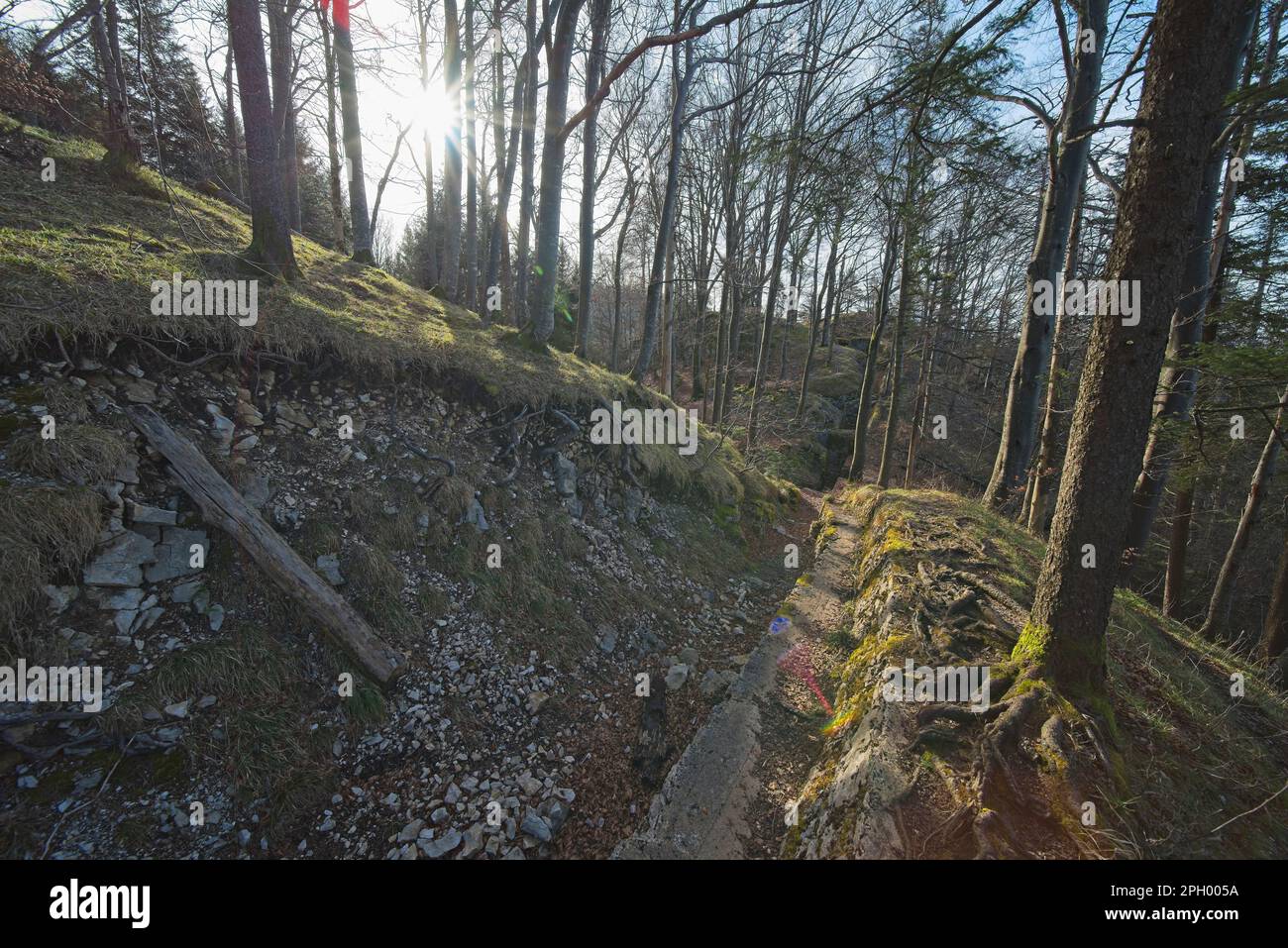 landscape in the swiss jura in the canton of basel land, on one of the ...