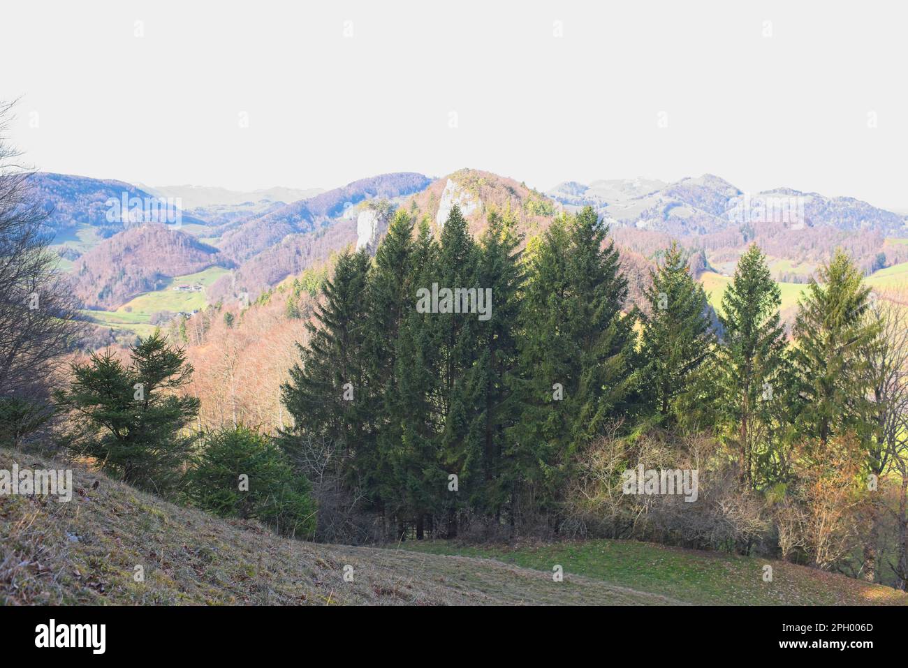 landscape in the swiss jura in the canton of basel land, on one of the ...