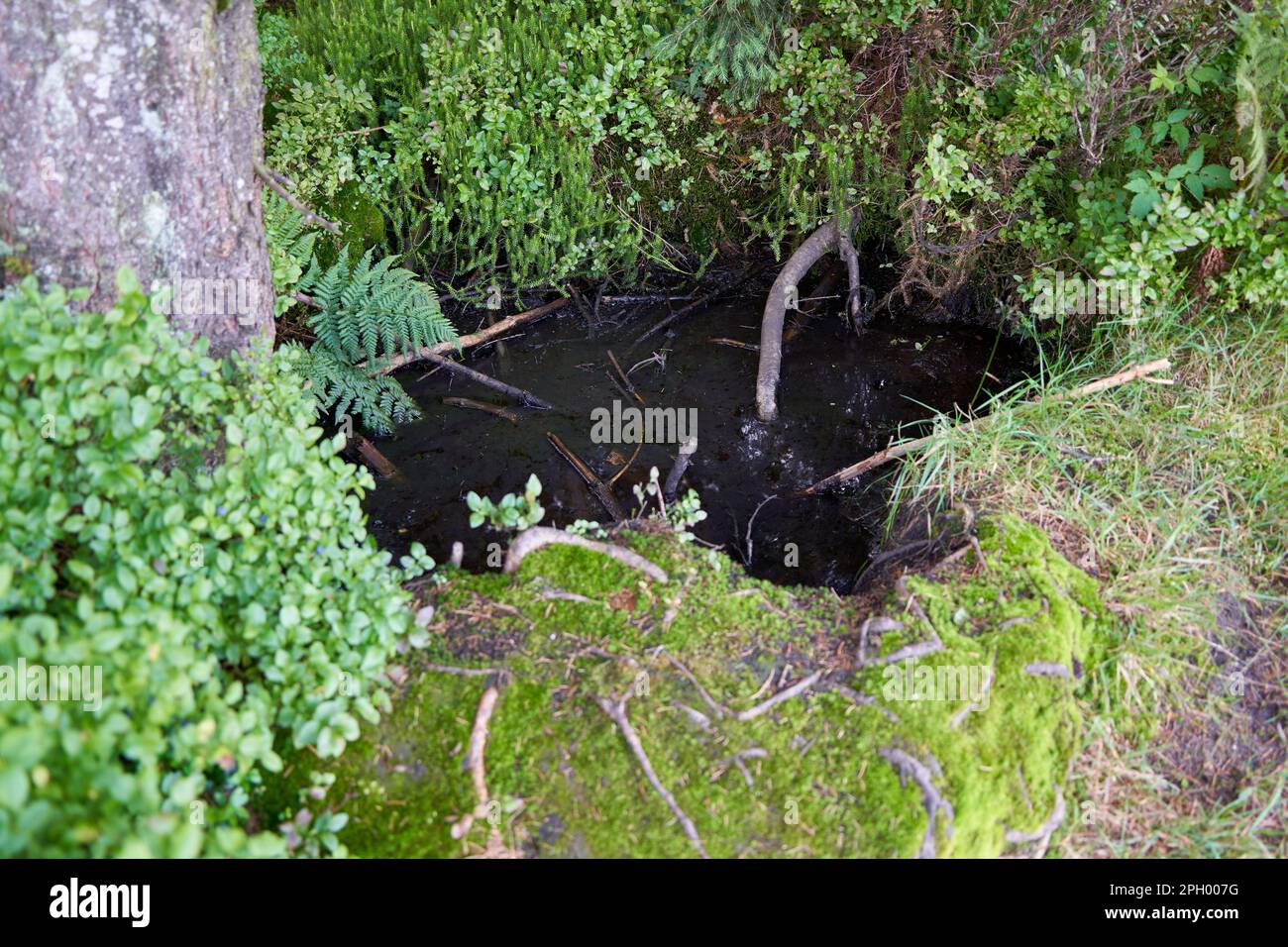 Dangerous bog hi-res stock photography and images - Alamy