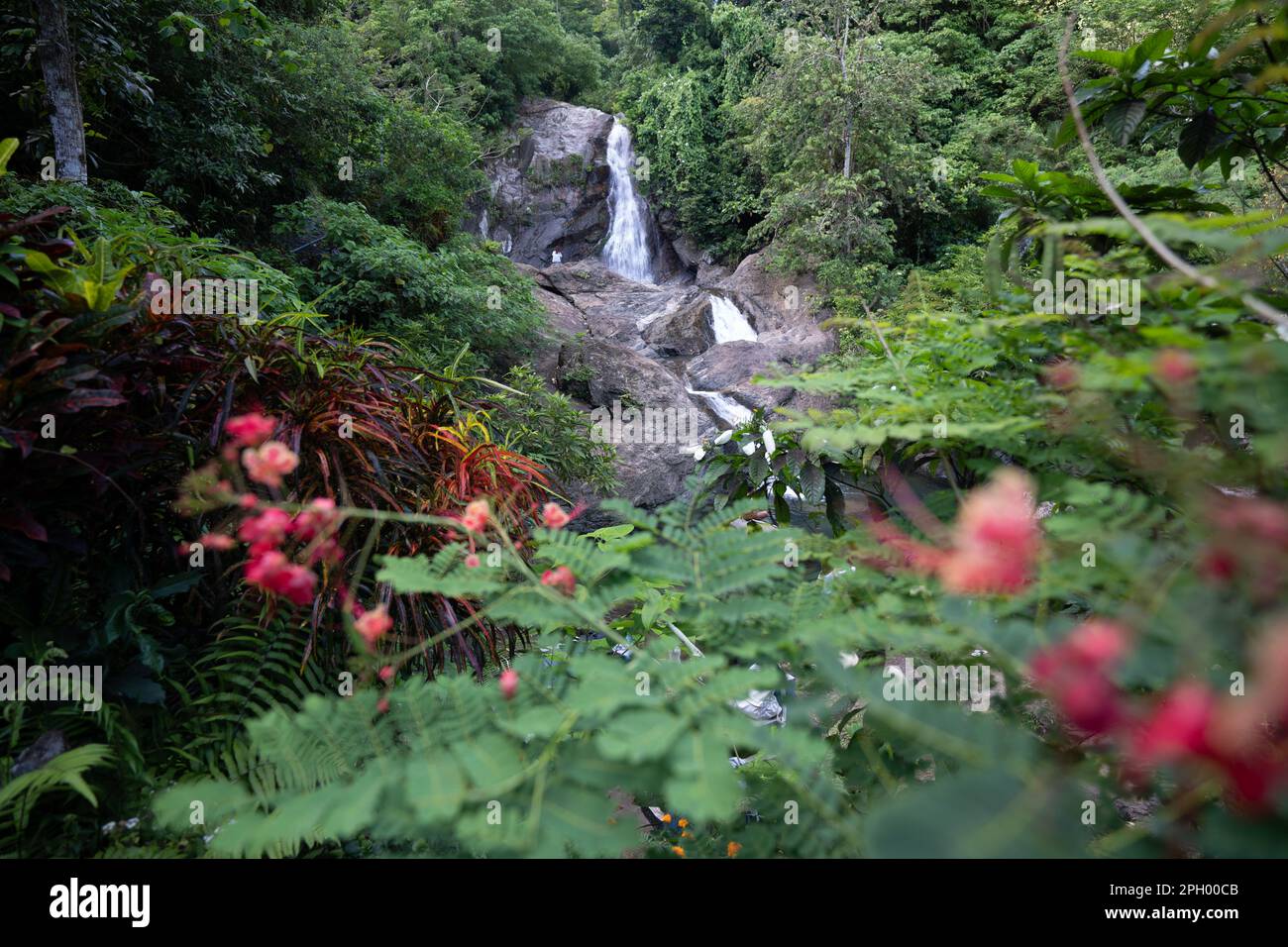 Beautiful Maribiina waterfalls at Bato, Catanduanes, Philippines Stock ...