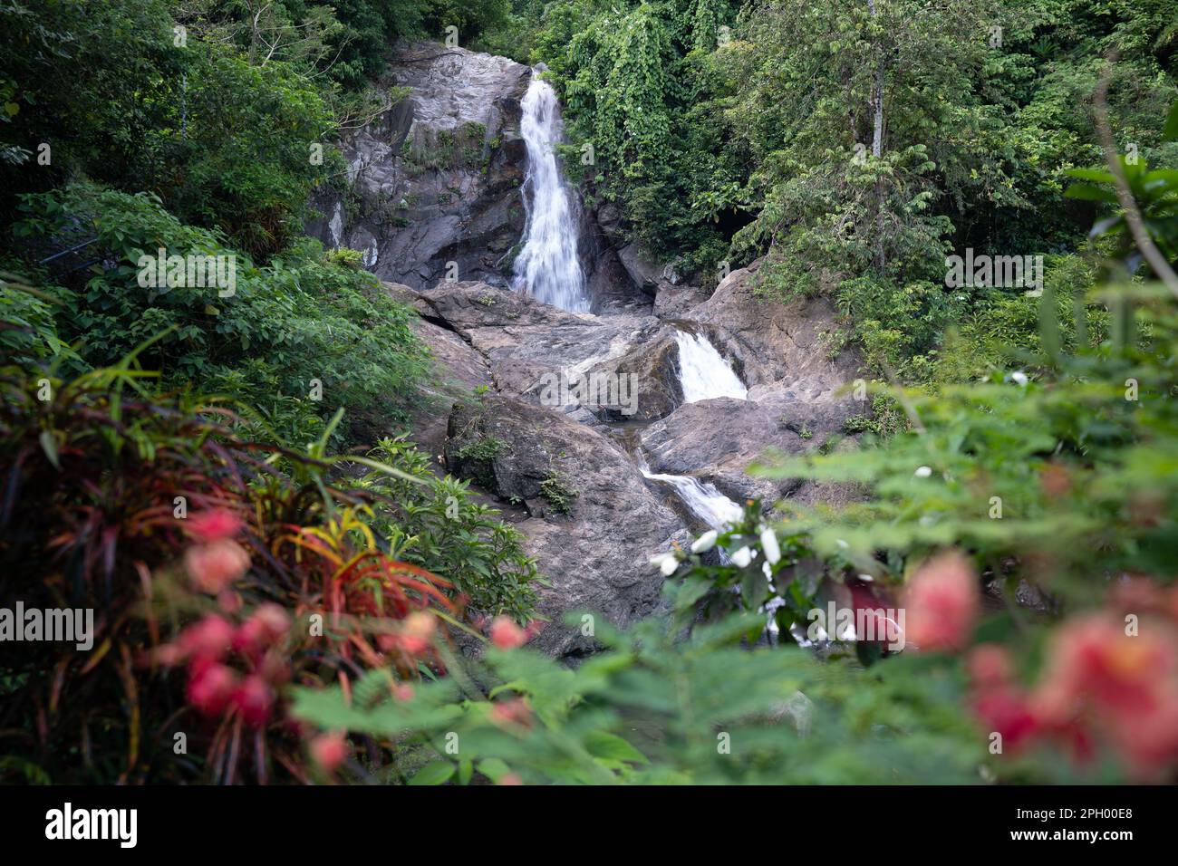 Beautiful Maribiina waterfalls at Bato, Catanduanes, Philippines Stock ...