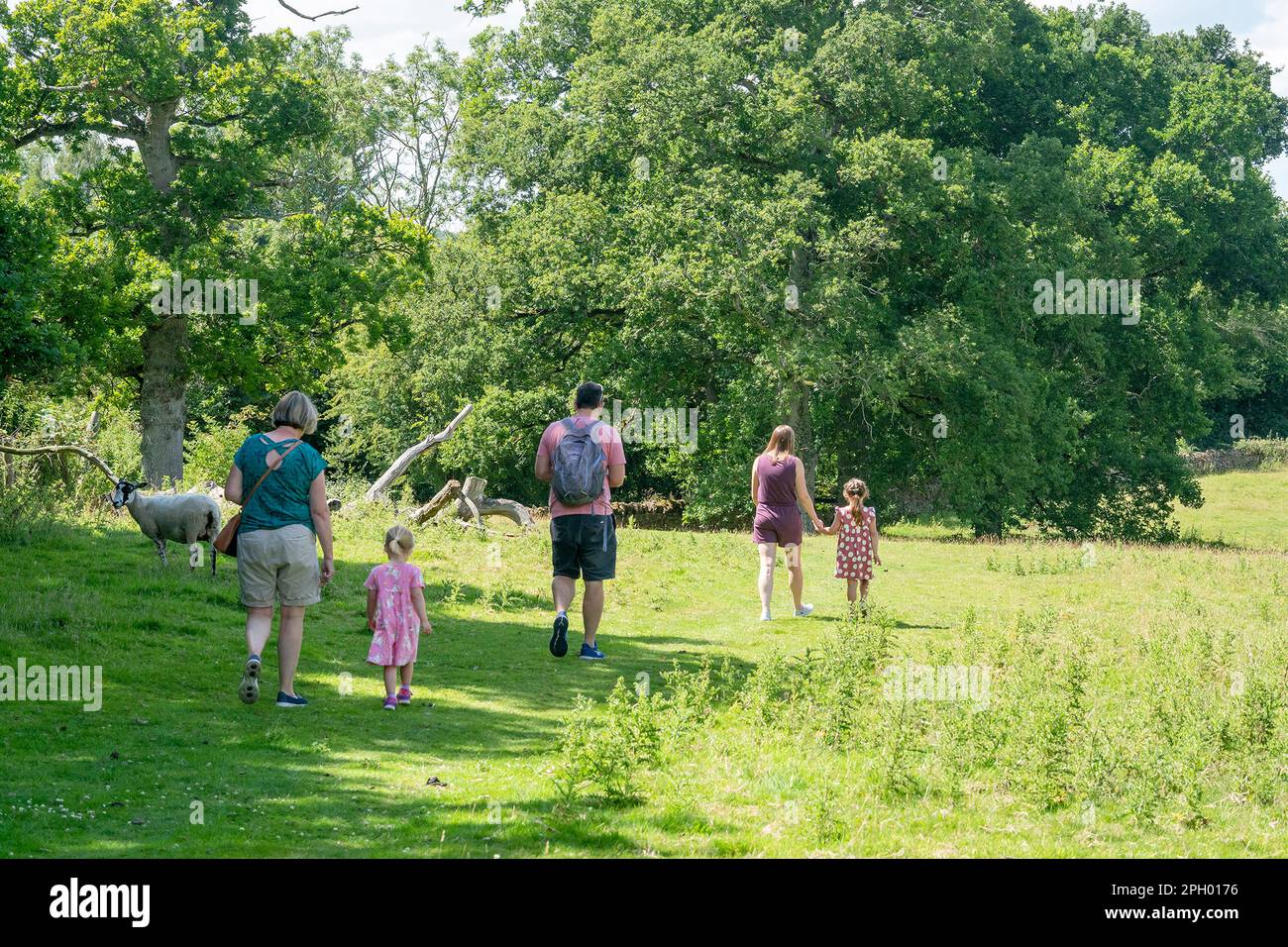Discovering nature hi-res stock photography and images - Alamy