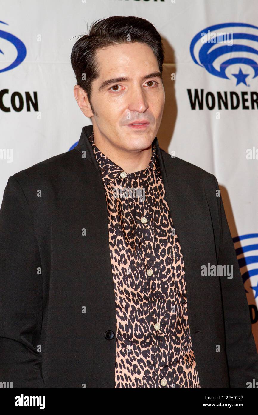 David Dastmalchian arrives at the press room for "Batman: The Doom That ...