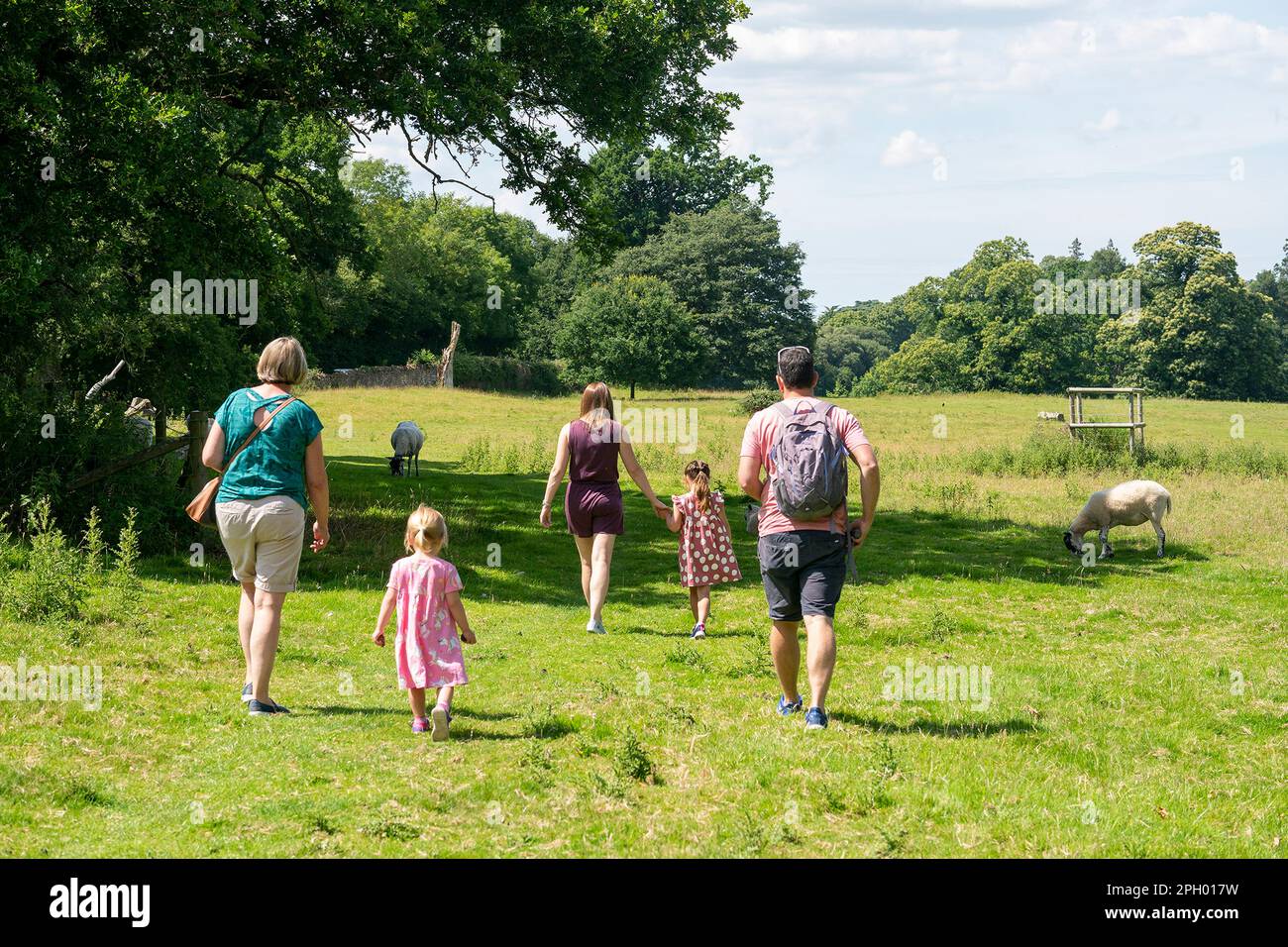 Summer nature walk hi-res stock photography and images - Alamy