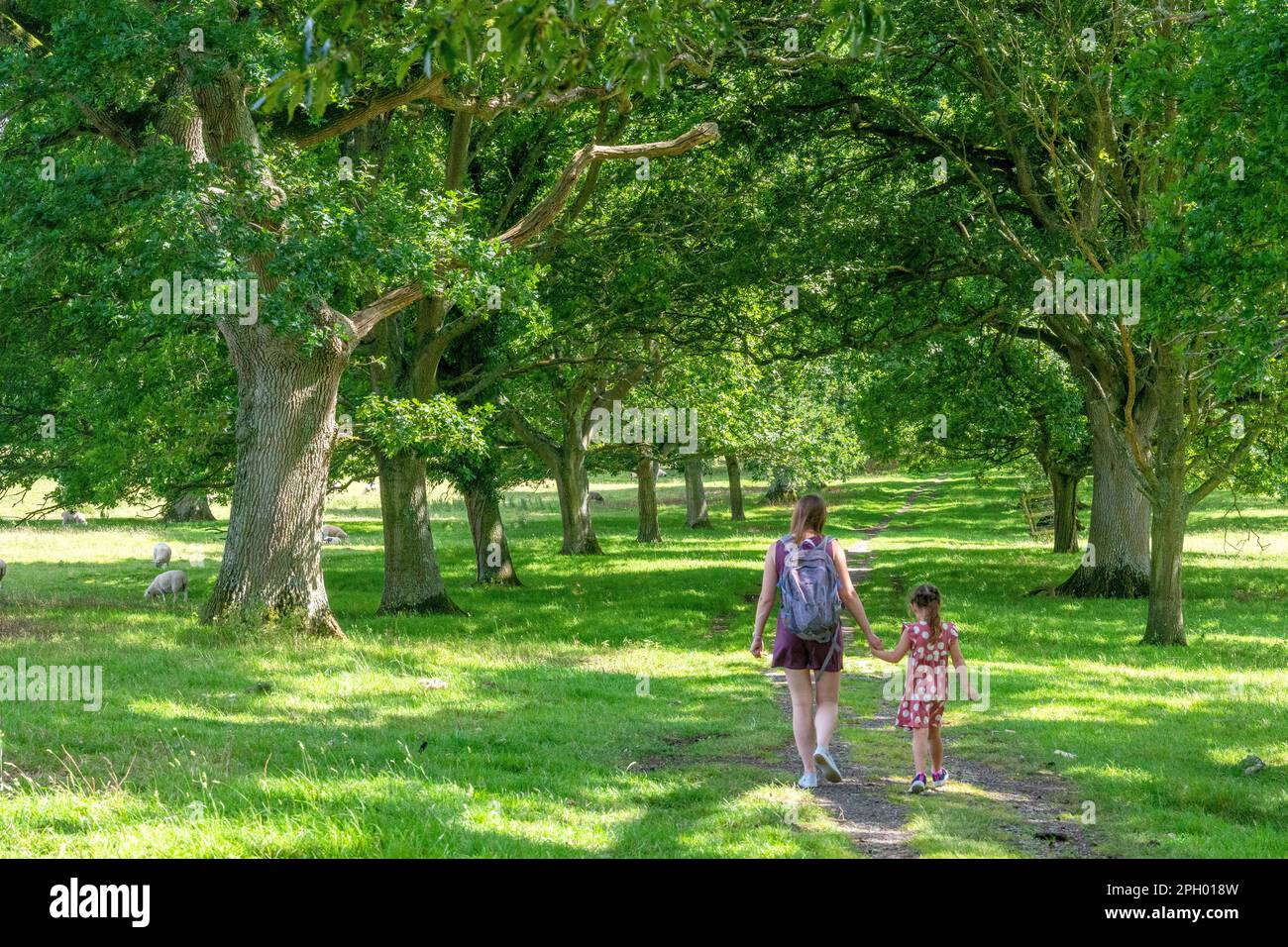 Child discovering nature hi-res stock photography and images - Alamy