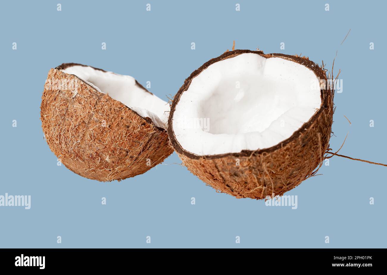 Coconut. Halved cut pieces, cross-section of coco nut fruit with brown ...