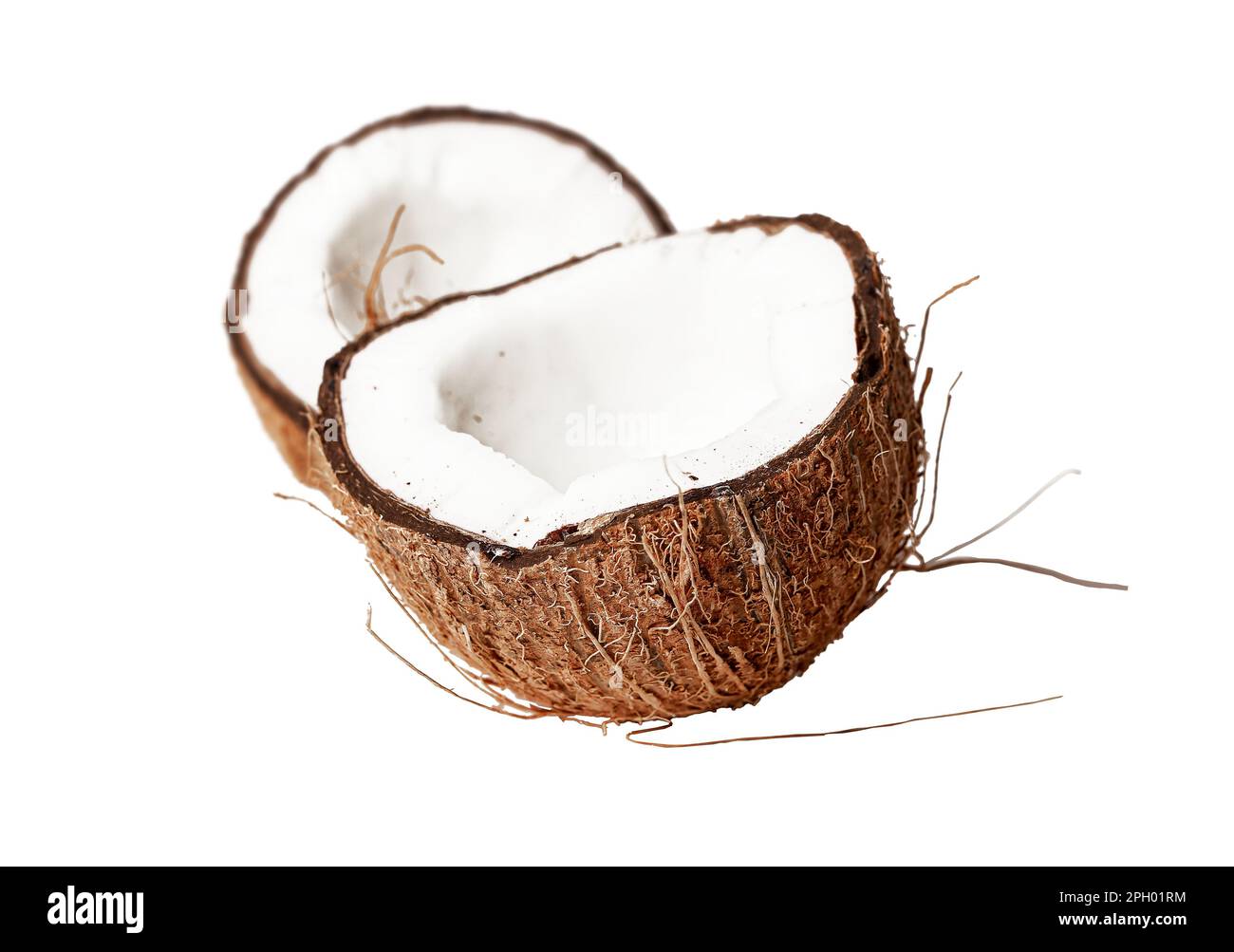 Cross Section Whole Coconut