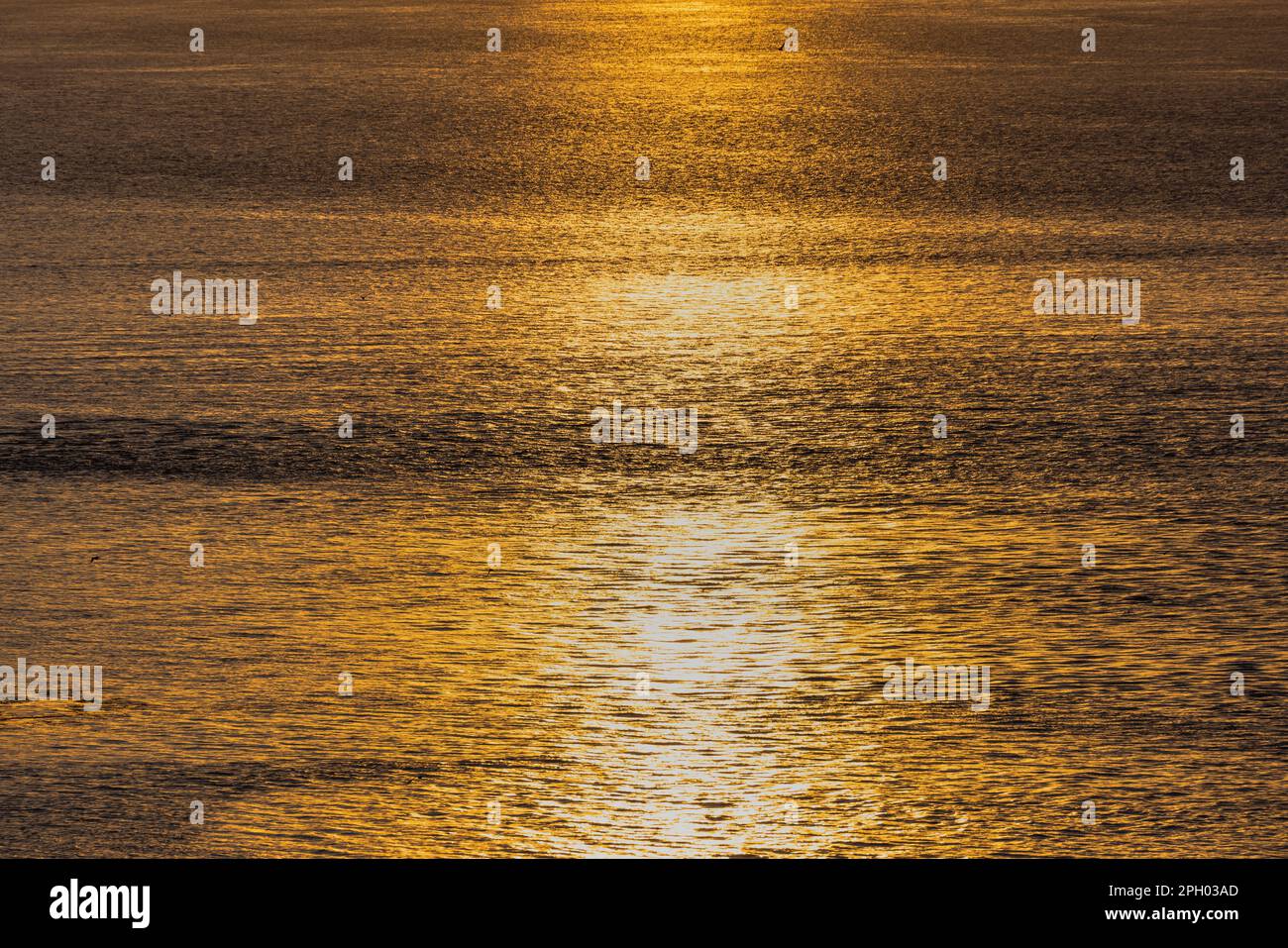 Golden reflection on the sea Stock Photo - Alamy