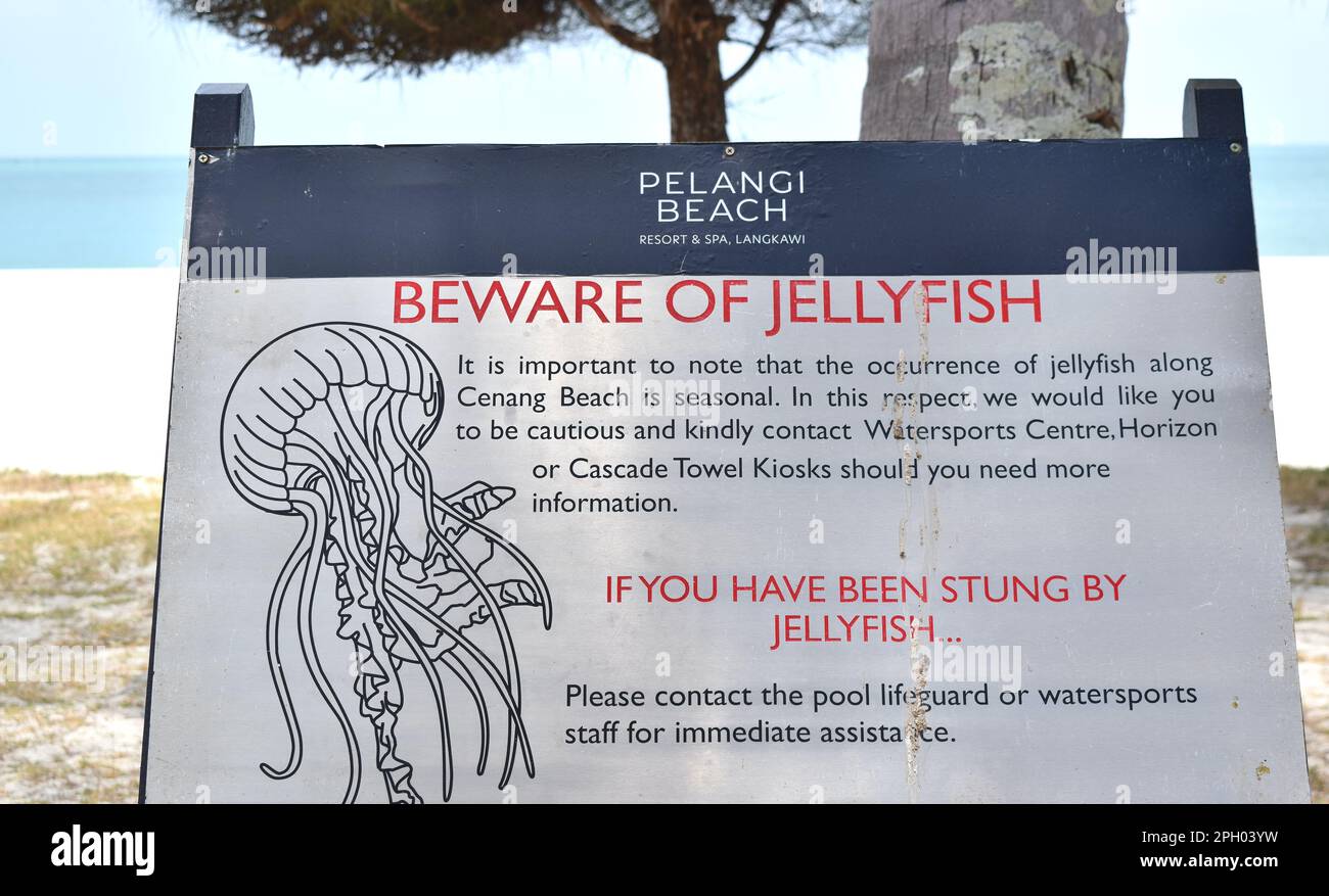 Beware of jellyfish sign on the beach close up Stock Photo - Alamy