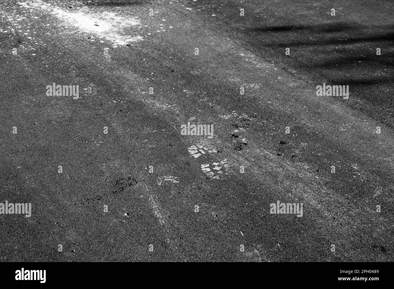 Footprint is on an asphalt road near white paint splash, background ...