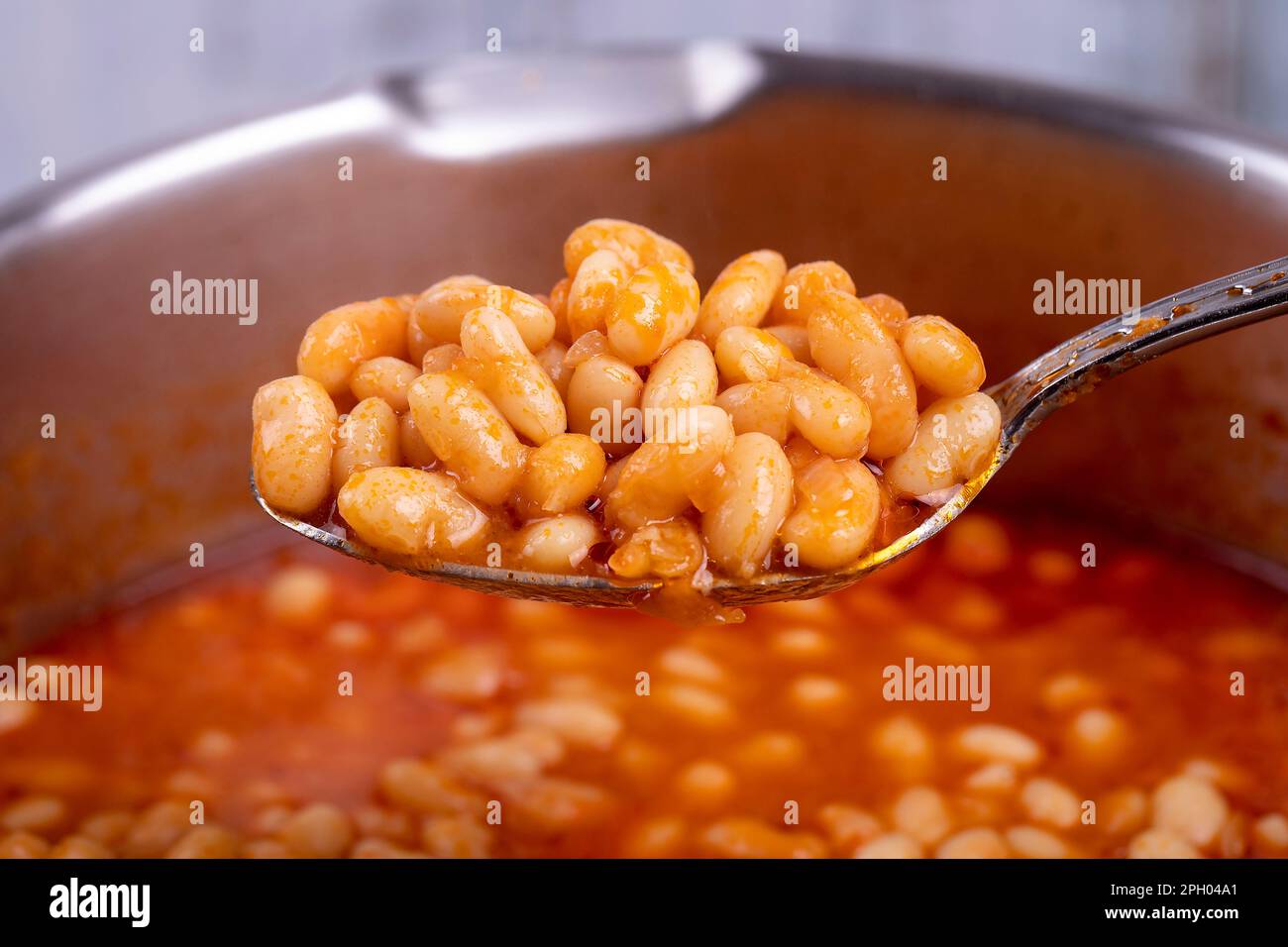 Dry bean meal or navy beans. Cooked dried bean grains raised in a ladle ...