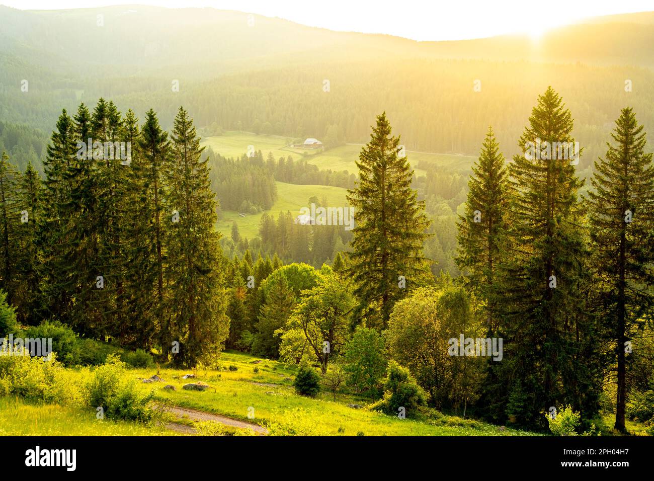 Landscape in the Black Forest with two farms, surrounded by meadows and ...
