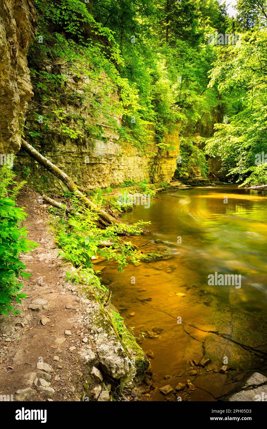 Landscape in the Black Forest, river Wutach in the Wutach canyon ...
