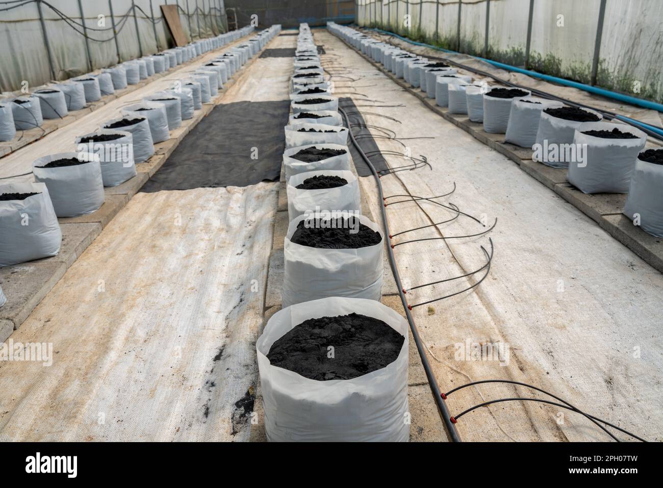 Prepare the soil for planting in a white bag. Prepare the Organic Soil ...