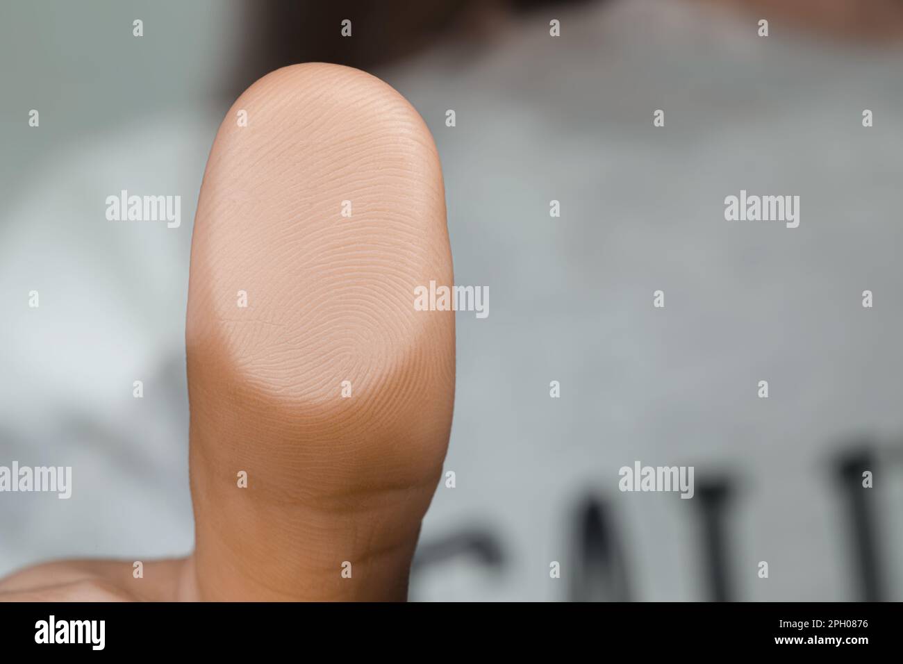 Female surface anatomy hi-res stock photography and images - Alamy