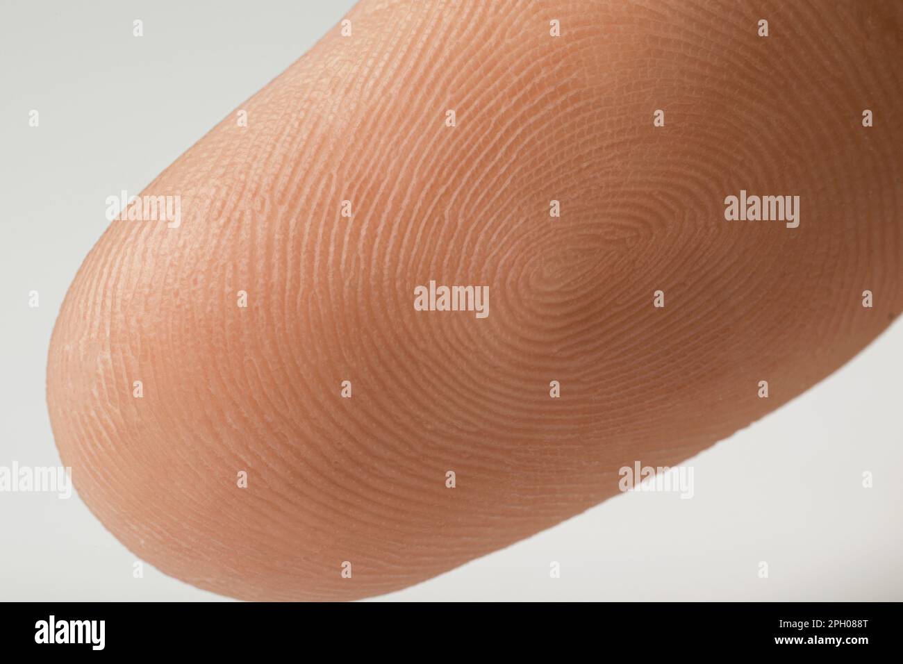 Closeup view of human finger on white background Stock Photo - Alamy