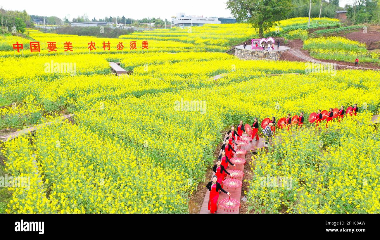 CHONGQING, CHINA - MARCH 25, 2023 - Cheongsam lovers play among ...
