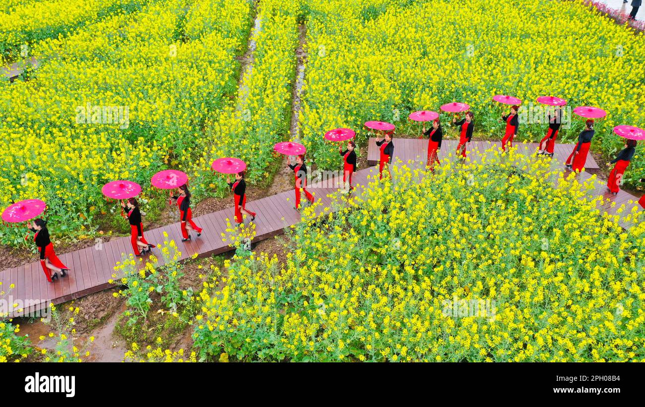 CHONGQING, CHINA - MARCH 25, 2023 - Cheongsam lovers play among ...