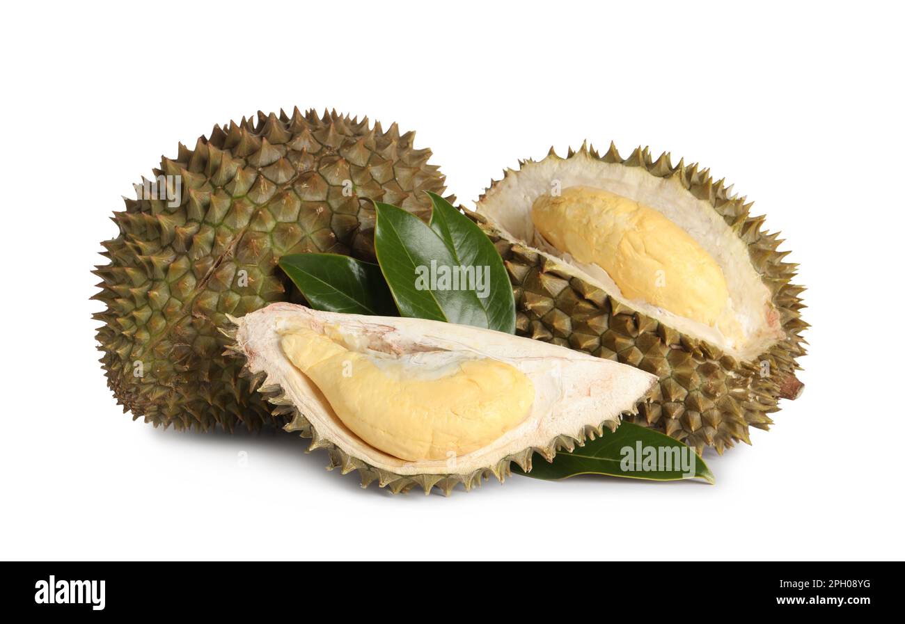 Fresh ripe durians with green leaves on white background. Tropical ...