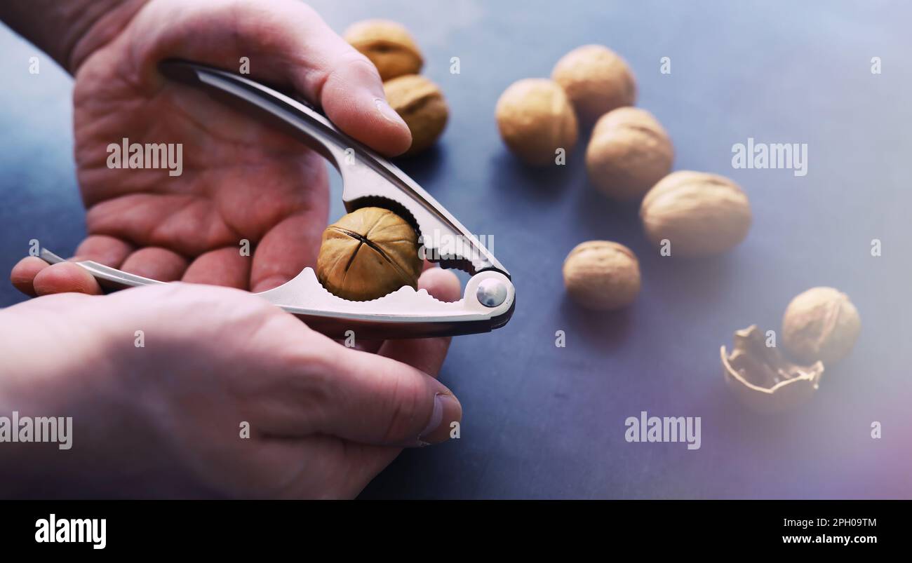 Walnuts in a shell on gray background. Nutcracker and scattering of ...