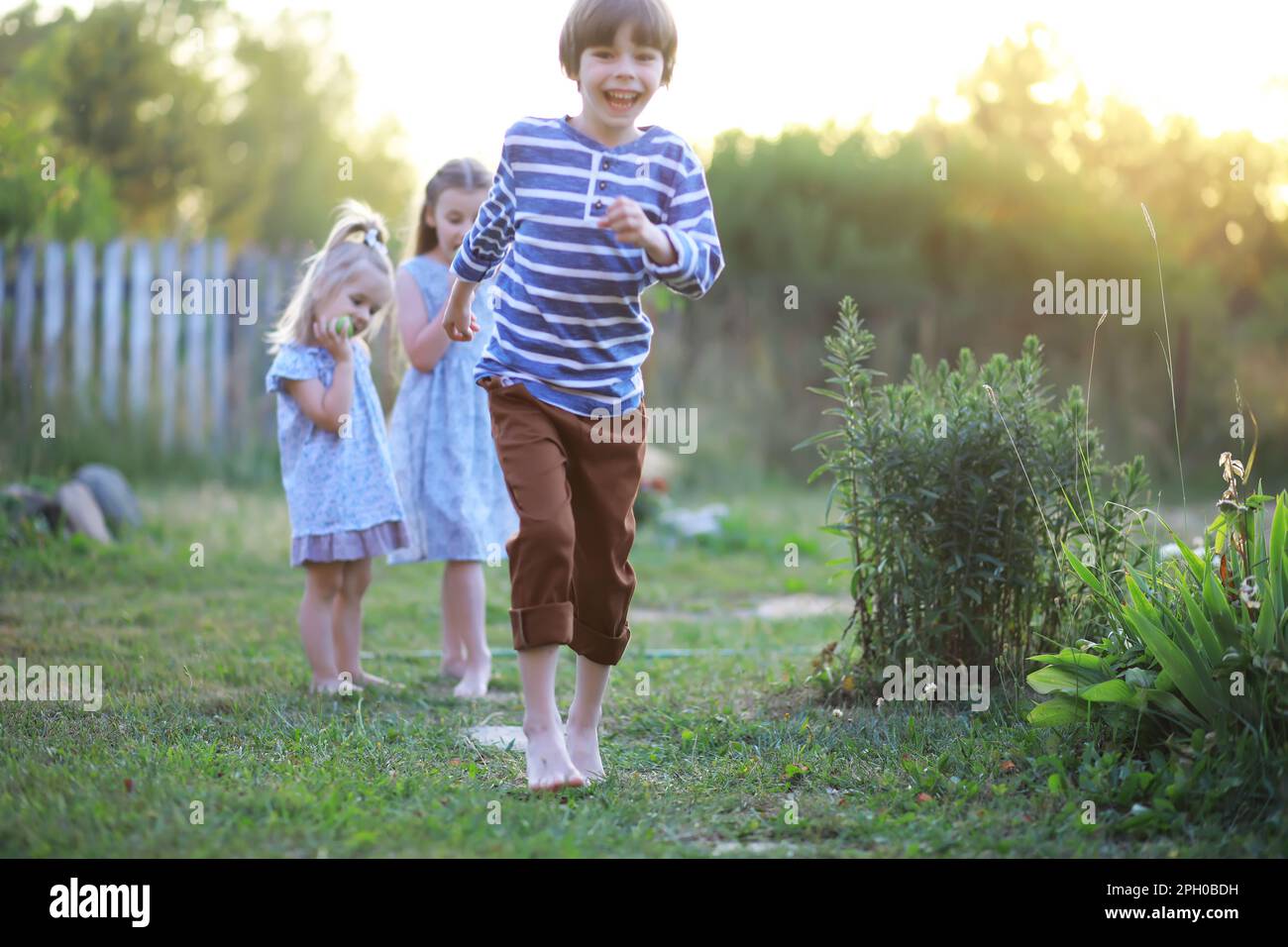 Children walk in the summer in nature. Child on a sunny spring morning ...