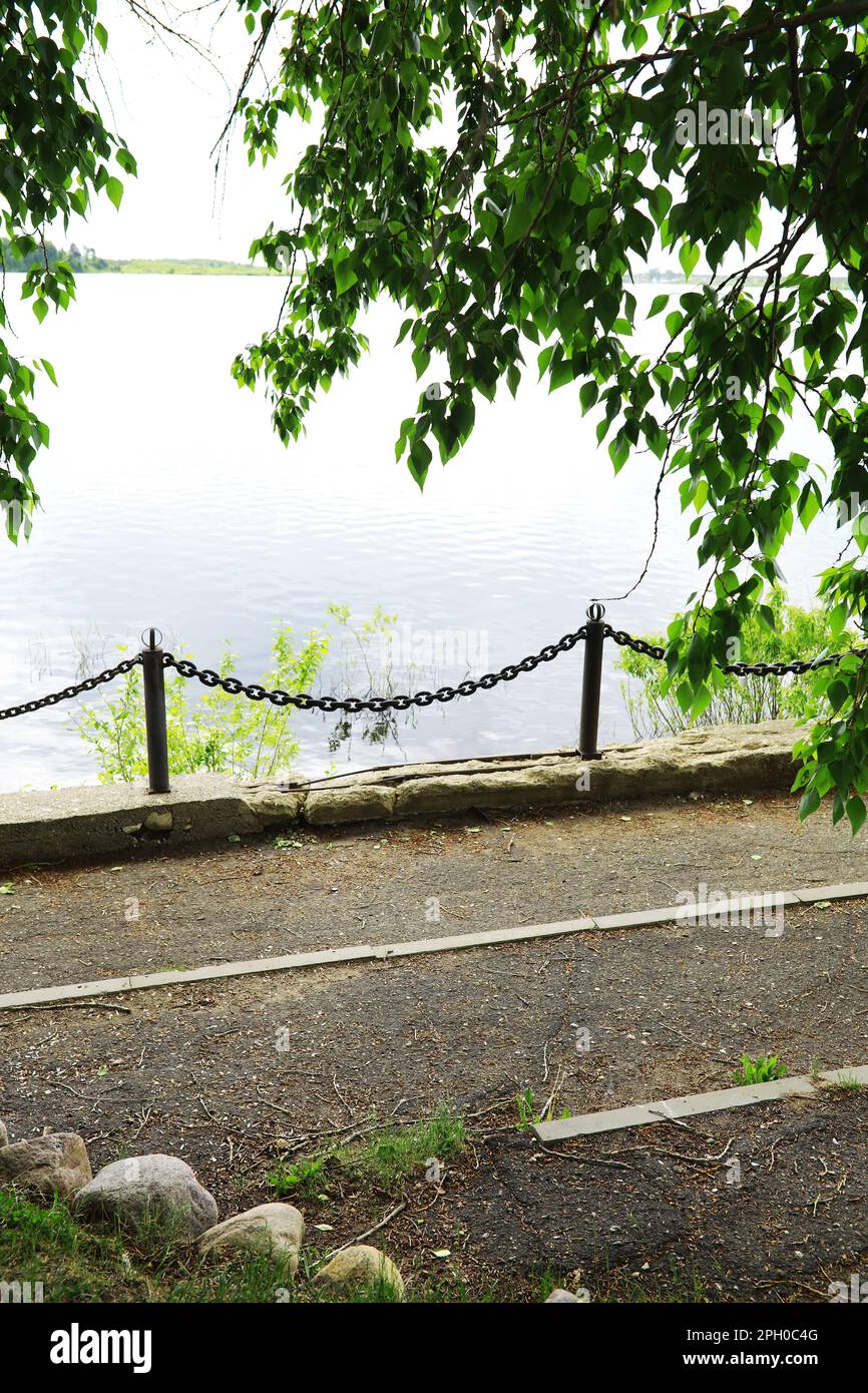 Spring nature background. Greenery trees and grasses on a sunny spring ...