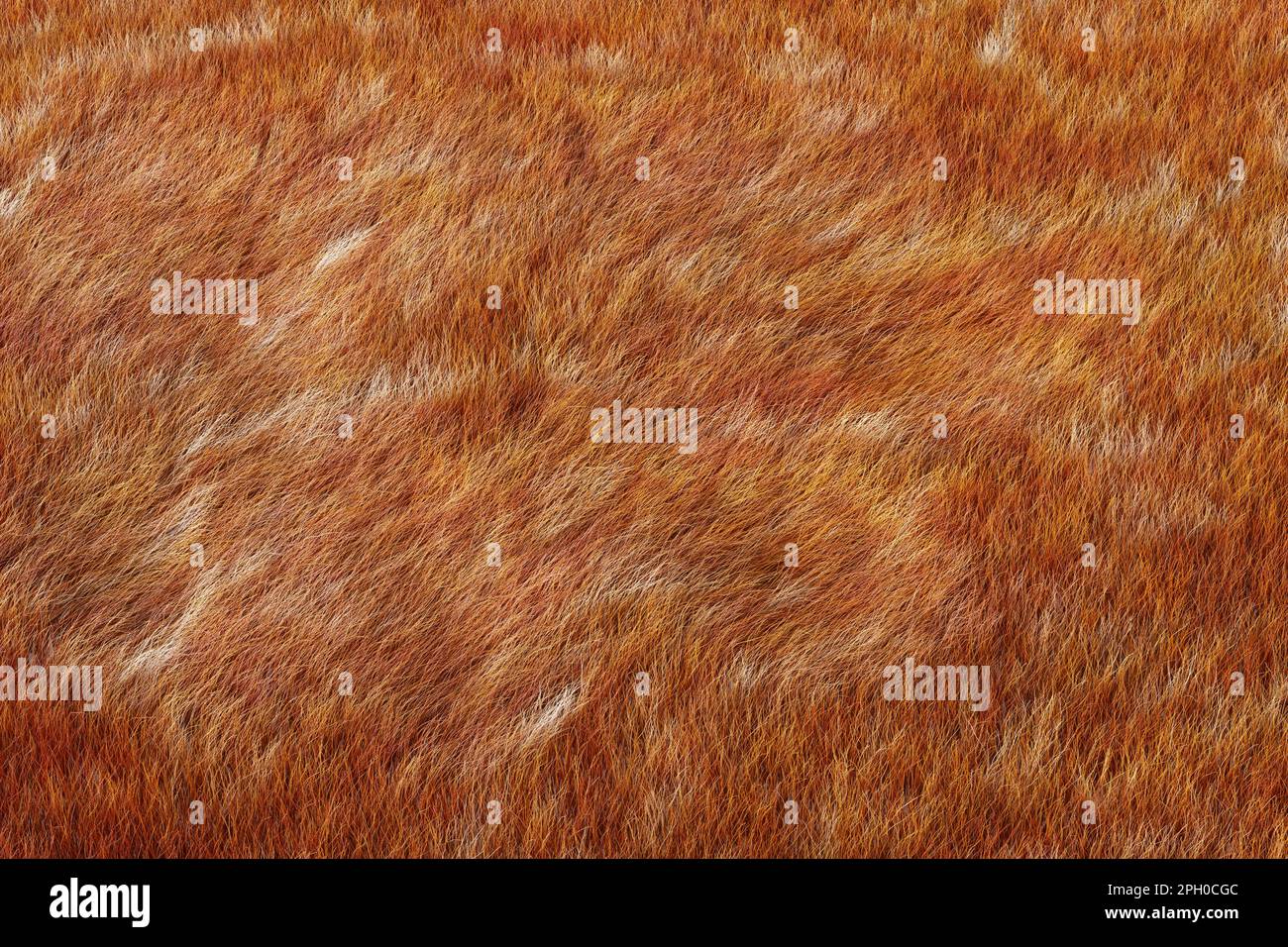Dog Hair Fur extreme closeup. 3d Rendering Stock Photo - Alamy