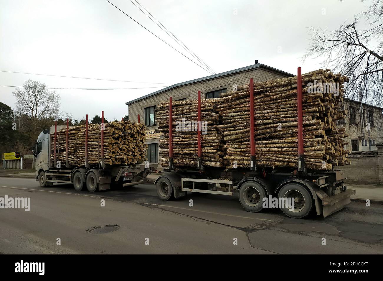 Timber removal in Riga's Bolderaja microdistrict. Timber trucks ...