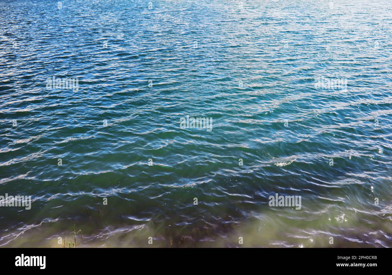 Water surface. The texture of the water. Waves on the lake windy ...