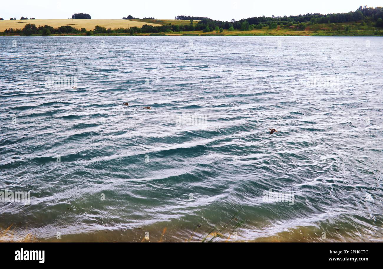 Water surface. The texture of the water. Waves on the lake windy ...